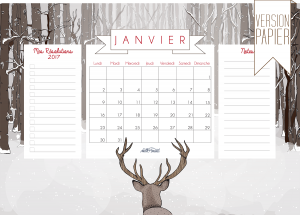 Calendrier de Janvier – Milk with mint